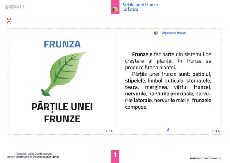 Frunza (6-12 ani) – Format Fizic – InsideOutMontessori